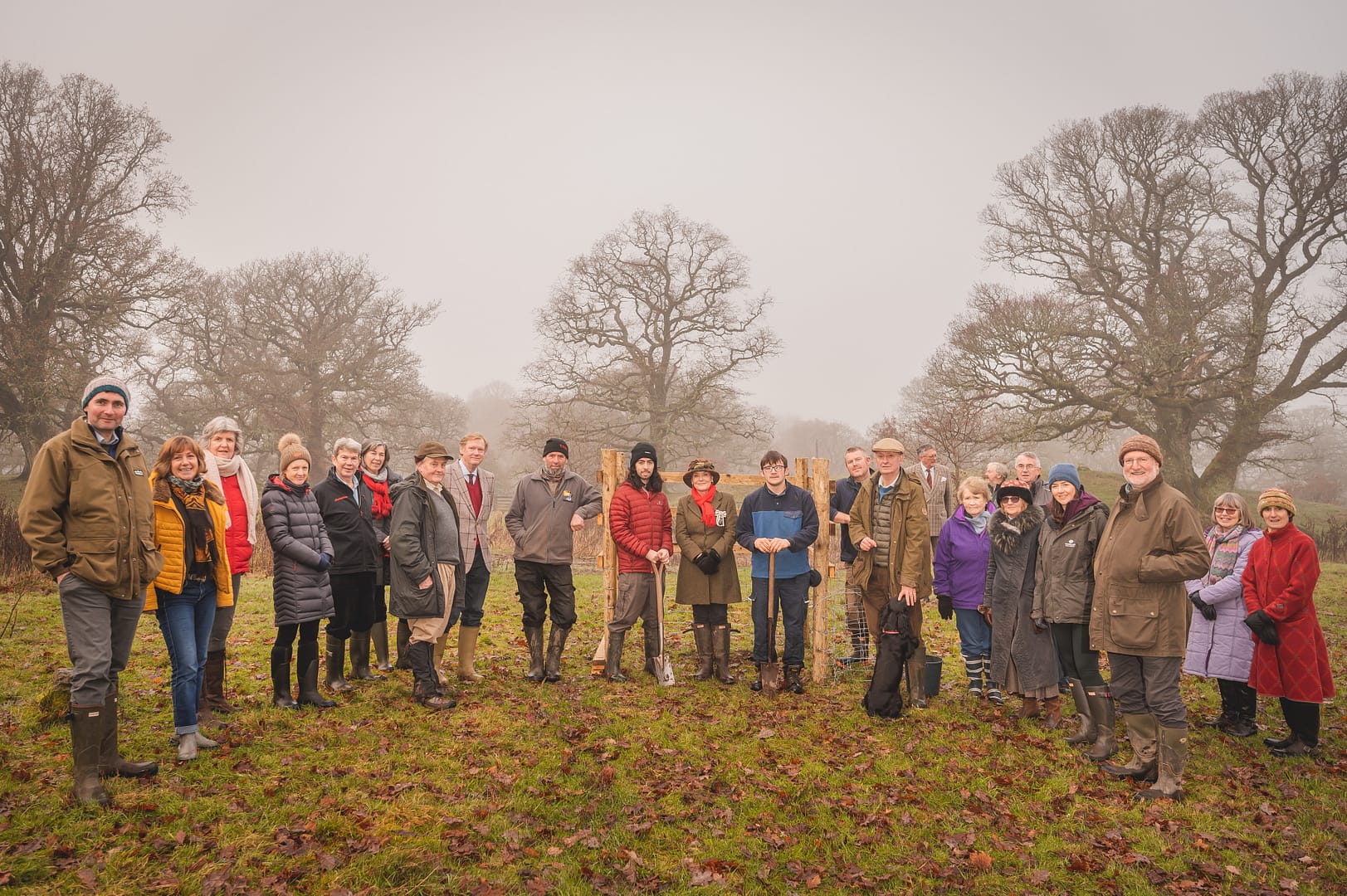 Branching Out! Dumfries & Galloway Woodlands secures major grant from ...