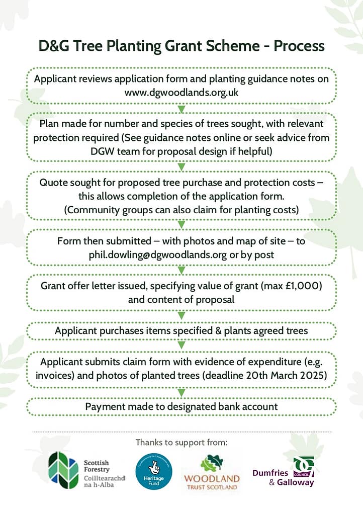 Dumfries & Galloway Tree Planting Grant Scheme – D&G Woodlands