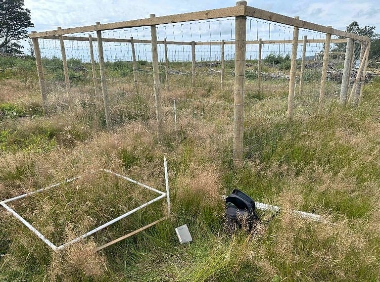 Bennel Wood – Blog #5 – Grazing Boxes – D&G Woodlands