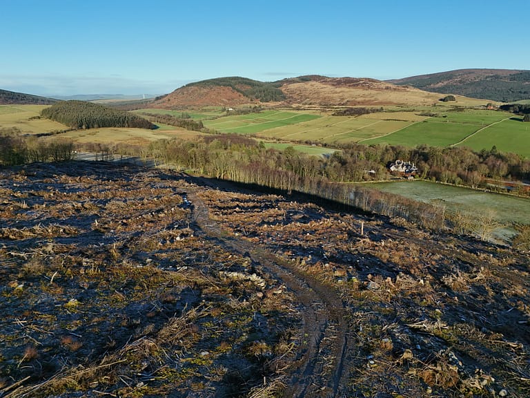 Bennel Wood – Woodland Laboratory – D&G Woodlands