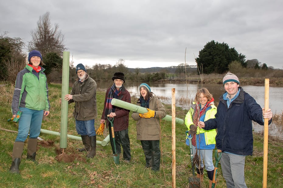 News – D&G Woodlands